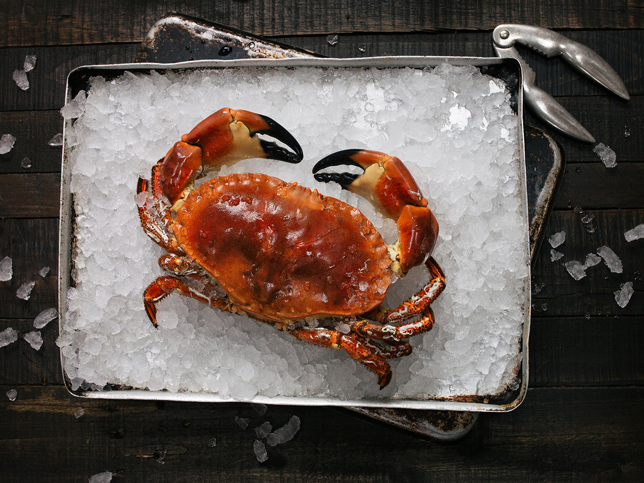 Sobre Nosotros - Masebba Cocktail Bar